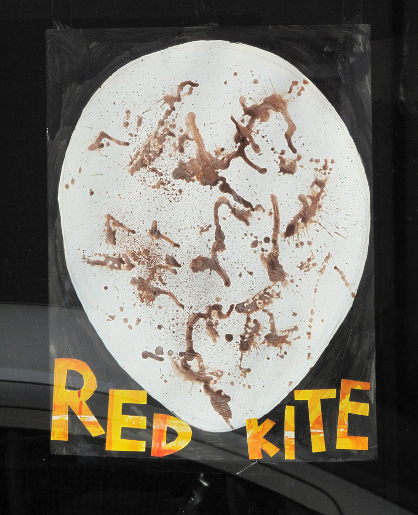 Red kite | Osney Island