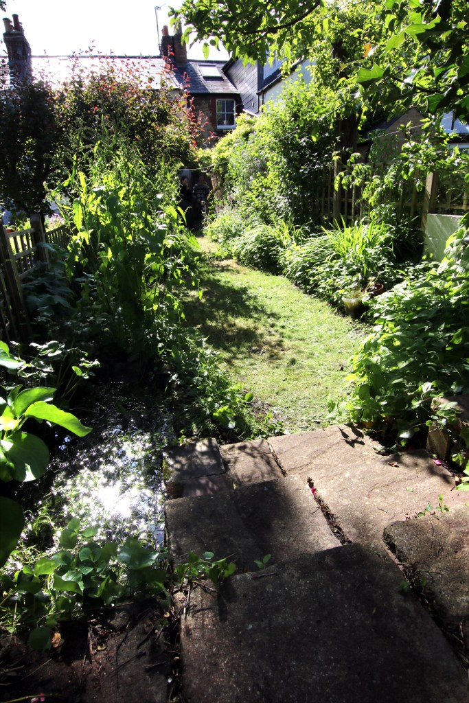 Open Gardens 2024 | Osney Island